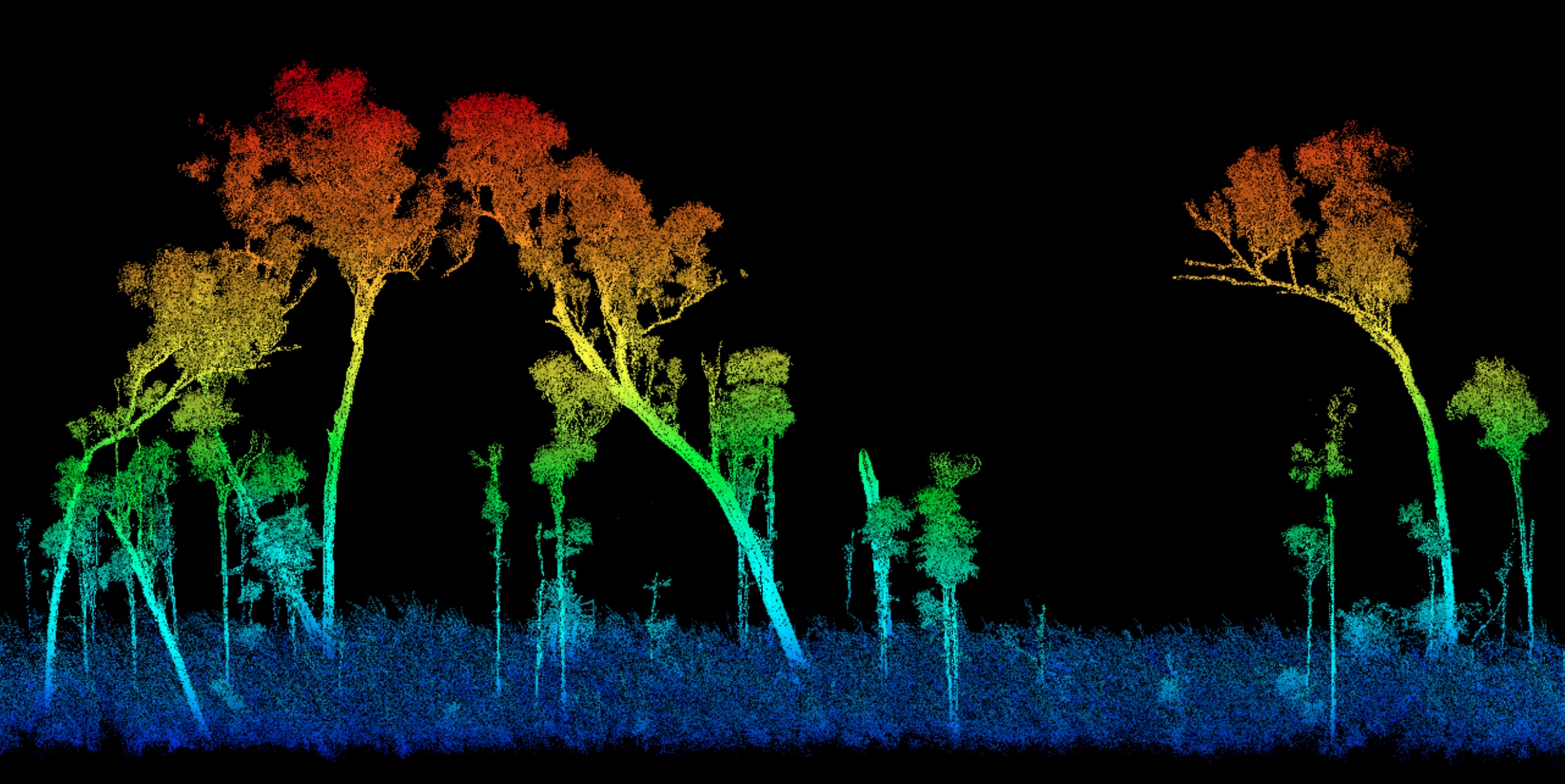 Biodiversity analytics from space | Shaun R Levick